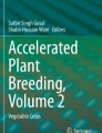 Genetic Engineering of Squash for Food and Health Security | SpringerLink