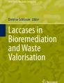 Immobilization of laccases and applications for the detection and remediation of pollutants: a ...