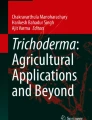 Trichoderma as a biological control agent: mechanisms of action, benefits for crops and ...