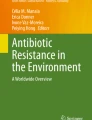 Sources of Antibiotic Resistant Bacteria (ARB) and Antibiotic ...