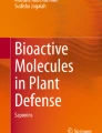 Does plant form recapitulate its therapeutic function? a test for red ...