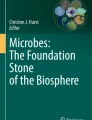 Microbial Mats: Modern and Ancient Microorganisms in Stratified Systems | SpringerLink