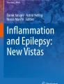 Immune Mechanisms in Epileptogenesis: Update on Diagnosis and Treatment ...