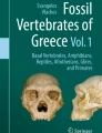 The Fossil Record of Ailurids (Mammalia: Carnivora: Ailuridae) in ...