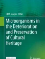 Microbial Biotechnology Approaches to Monuments of Cultural Heritage ...