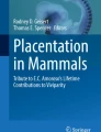 Placental Development with Histological Aspects | SpringerLink
