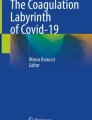 Persistent capillary rarefication in long COVID syndrome | Angiogenesis