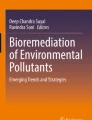 Overview of Advancements in Bioremediation Techniques | SpringerLink