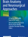 Anatomical step-by-step dissection of common approaches to the third ...