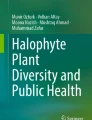 Synthesis and Applications of Phytonanoparticle: Perspective on ...