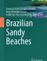 Beach Management Tools - Concepts, Methodologies and Case Studies ...