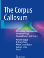 The splenium of the corpus callosum: embryology, anatomy, function and ...
