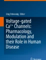 The complexities of CACNA1A in clinical neurogenetics | Journal of ...