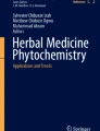 Traditional Medicinal Plants and Their Ethnomedicinal Values | SpringerLink