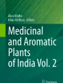 Traditional Medicinal Plants and Their Ethnomedicinal Values | SpringerLink