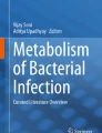 Metabolic reprogramming of immune cells in the battle against ...