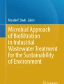 A comprehensive review of membrane-based water filtration techniques ...