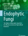 Endophytic Fungi: Biodiversity, Ecological Significance, and Potential ...