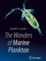 Plankton Size Classification | Springer Nature Link