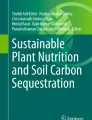 Benefits and limitations of biochar for climate-smart agriculture: a ...