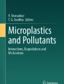 Food chain microplastics contamination and impact on human health: a ...