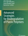 Comprehensive Review on Bio-Based Treatments for Polyvinyl Chloride ...