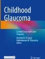 Diagnosis and Management of Juvenile Open-Angle Glaucoma | SpringerLink