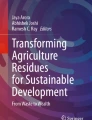 Agri-Waste Valorization: Pathways to Sustainable Bioenergy and ...