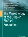 Environmental sustainability analysis of biofuels: a critical review of ...