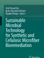 Microfiber Pollution in the Earth System | Reviews of Environmental ...
