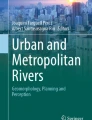 An urban rivers renaissance? Stream restoration and green–blue ...