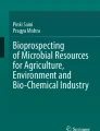 A comprehensive review on the heterotrophic production of bioactive ...