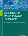 Microplastic Pollution in Terrestrial Systems: Sources and Implications for Soil Functioning and ...
