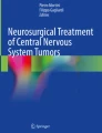 Intradural spinal tumors in adults—update on management and outcome | Neurosurgical Review