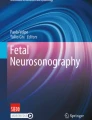 The First-Trimester Fetal Head and Brain | SpringerLink