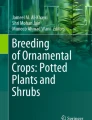 Advanced Breeding Strategies of Lemon Grass (Cymbopogon citratus ...