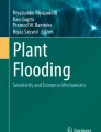 Beyond the surface: delving into plant signaling during flooding stress ...