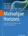 Adaptation of Microalgae to Temperature and Light Stress | SpringerLink