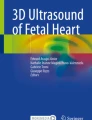 An efficient network with state space model under evidential training for fetal echocardiography ...