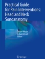 Cervical Medial Branch Blocks (TON, C3, C4, C5) | Springer Nature Link ...
