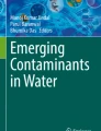 Contaminant Types and Nature of Sources in General Aspects | Springer ...