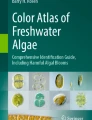 Eustigmatophyceae | Springer Nature Link
