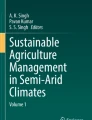 Biochar and Sustainable Soil Health | SpringerLink