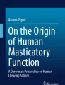 Design of a Gnathodynamometer to Measure the Masticatory Force ...