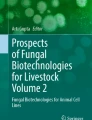 From the bench to the reactor: engineered filamentous fungi for ...