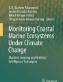 Mechanisms, processes, and implications of blue carbon sequestration ...