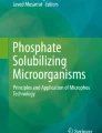 Phosphate-Solubilizing Microorganisms: Mechanism and Their Role in ...