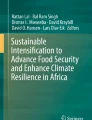 Climate Change, Agricultural Productivity, and Food Security | SpringerLink