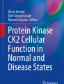 Protein kinase CK2 – diverse roles in cancer cell biology and ...
