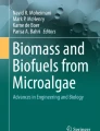 Harvesting of microalgae by bio-flocculation | Journal of Applied Phycology